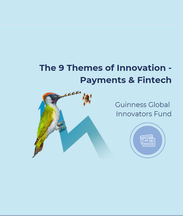 The 9 Themes of Innovation - Payments and Fintech | Guinness Global ...