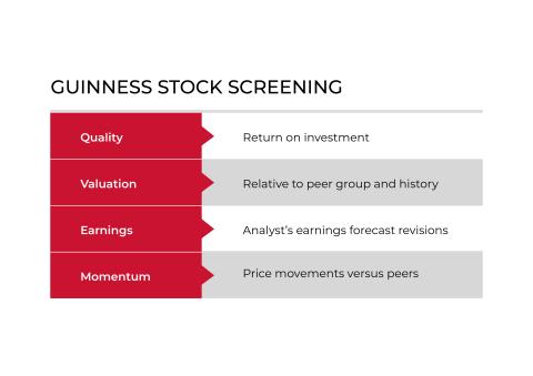 Guinness Sustainable Energy Fund | Guinness Global Investors